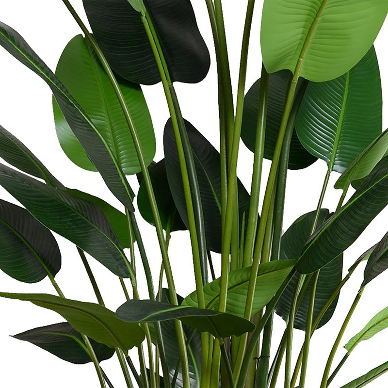 Palm Tree, Traveller's Large 10' – DRC Showroom